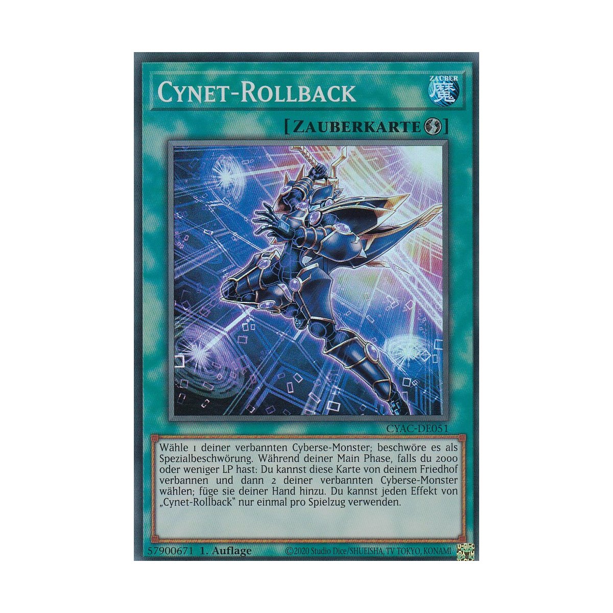 Cynet-Rollback CYAC-DE051 Cyberstorm Access kaufen