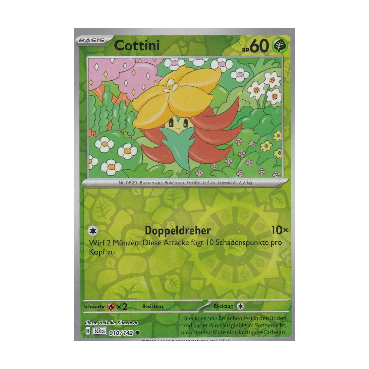Cottini 010/142 REVERSE HOLO Stellarkrone Pokemon Karte kaufen